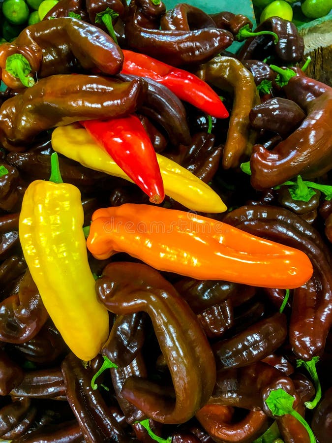 Variety of Multi Colored Sweet Peppers Stock Photo - Image of tasty ...