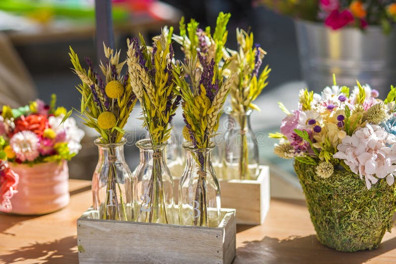 Variety of Multicolor Plants in Diferents Containers Stock Photo ...