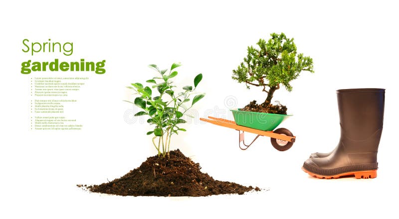 Variety of Objects for Spring Planting on White Stock Photo - Image of ...