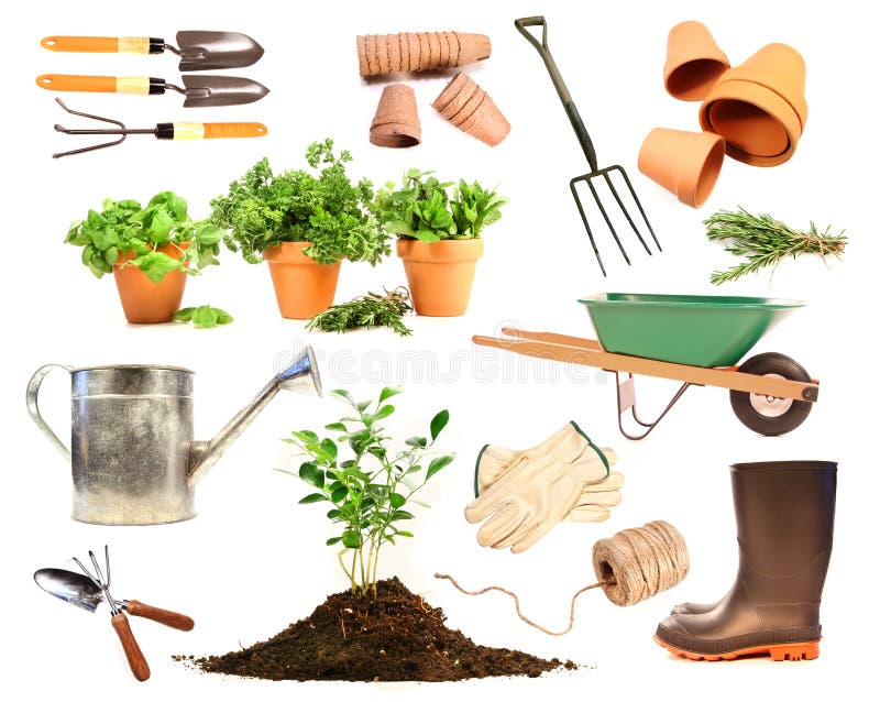 Variety of Objects for Spring Planting on White Stock Photo - Image of ...