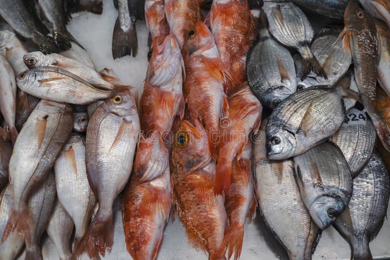 A Variety of Oceanic Fish at Market. Stock Photo - Image of water ...