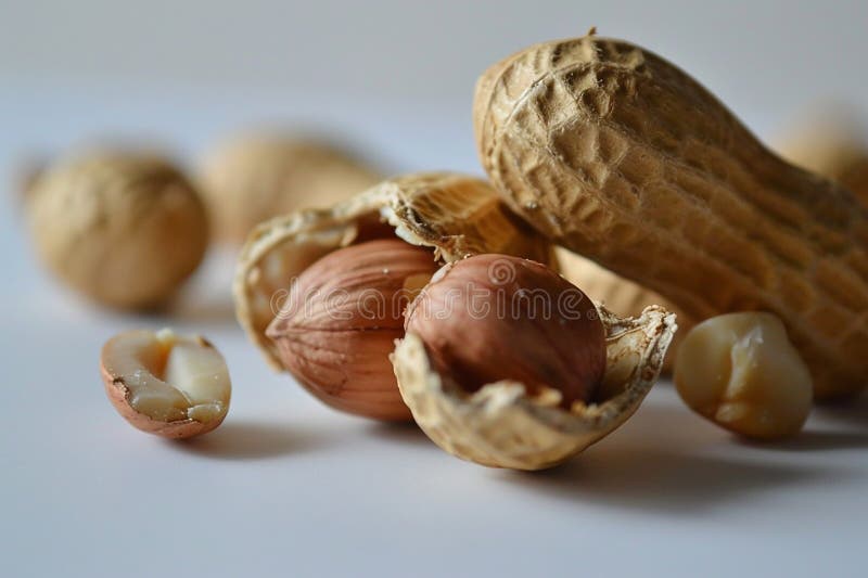 Variety of Peanut Compositions: Close-Up on White Background Stock ...