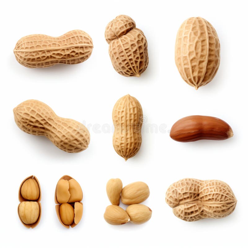 Variety of Peanuts in Shell and Shelled on White Background Stock ...