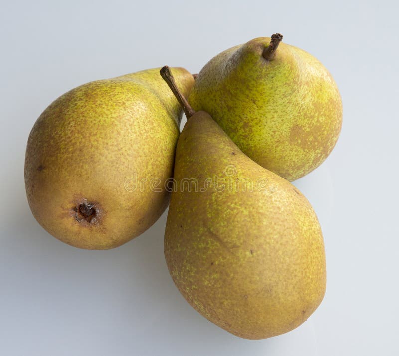 A Variety of Pear Called Xenia Stock Photo - Image of agriculture ...