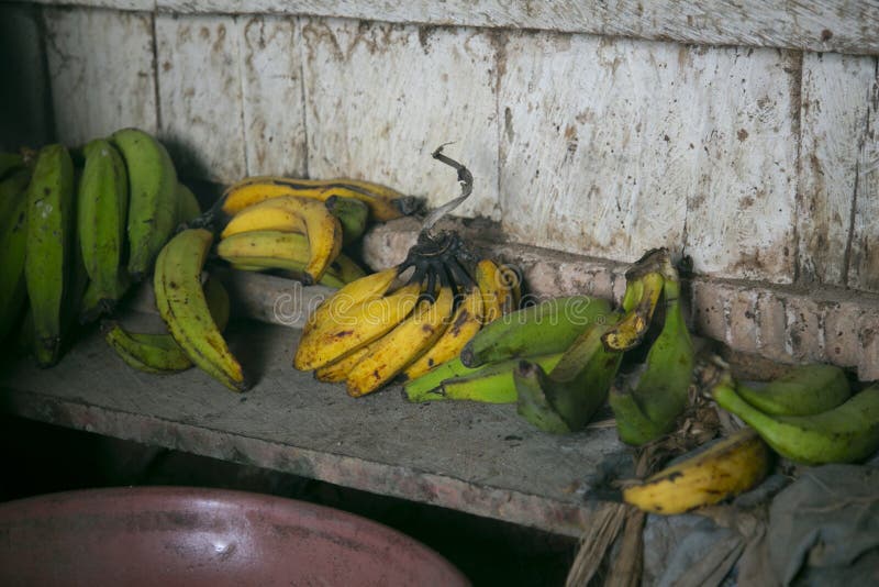 Variety of Peruvian Banana from the Peruvian Jungle Area in the Amazon ...