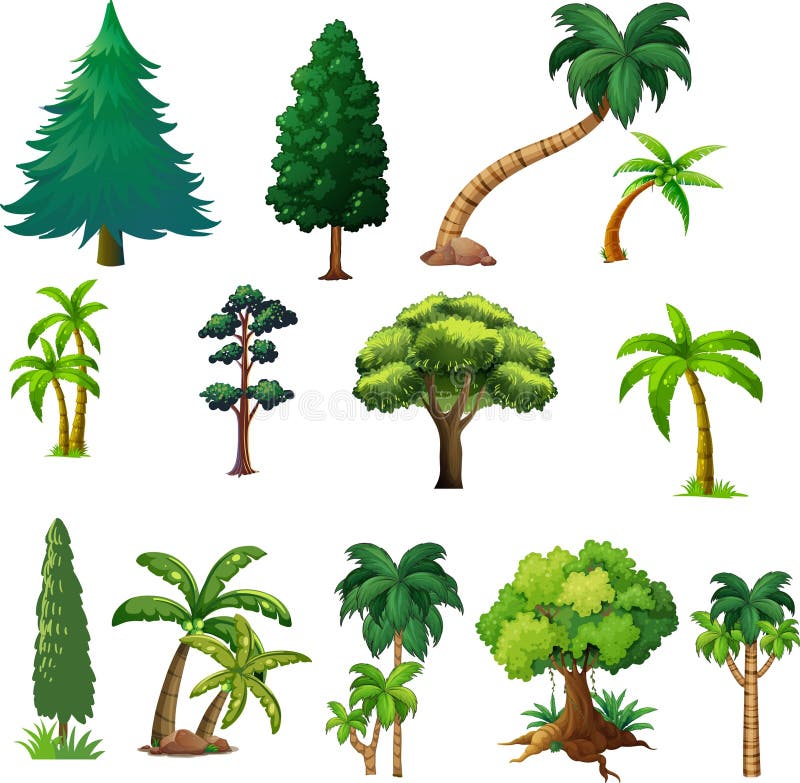 Variety Plants and Trees Vector Design & Art Stock Vector - Illustration of design, drawing ...