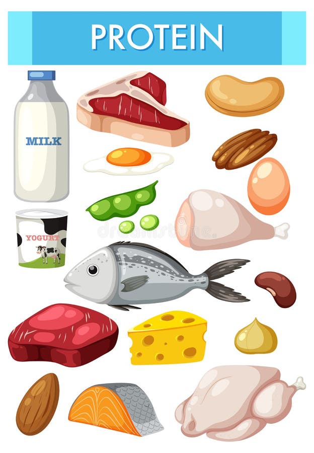 Variety of protein foods stock vector. Illustration of clipart - 266970264
