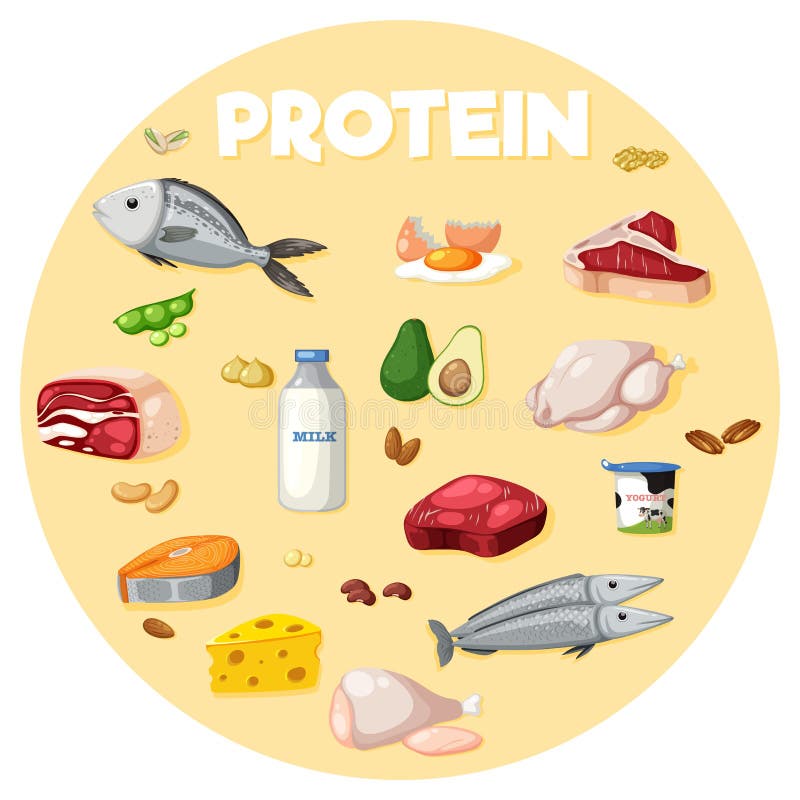 Protein Food Examples