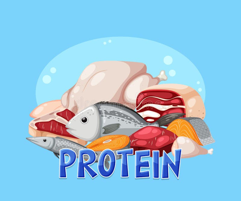 Variety of Protein Foods Poster Stock Vector - Illustration of graphic ...