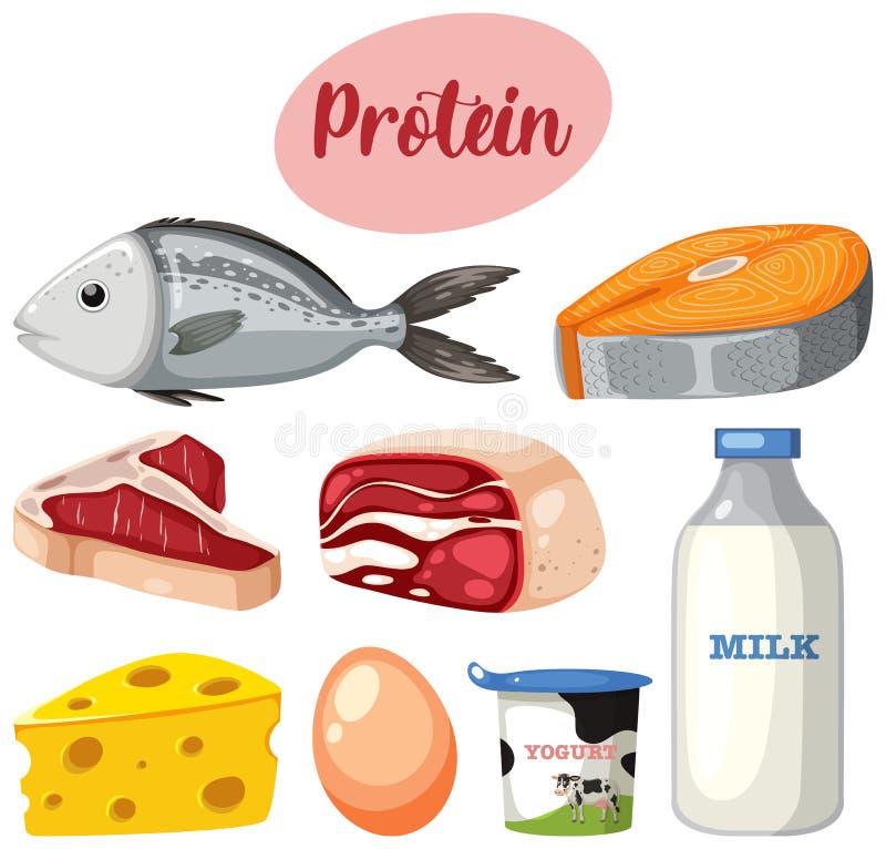 Protein Foods Stock Illustrations – 1,673 Protein Foods Stock ...