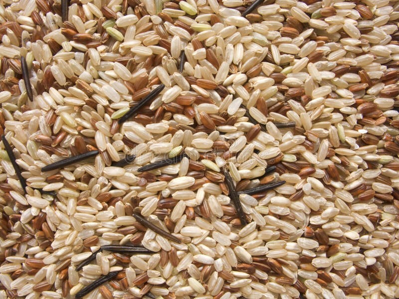 Variety of rice stock image. Image of texture, pattern - 20956395