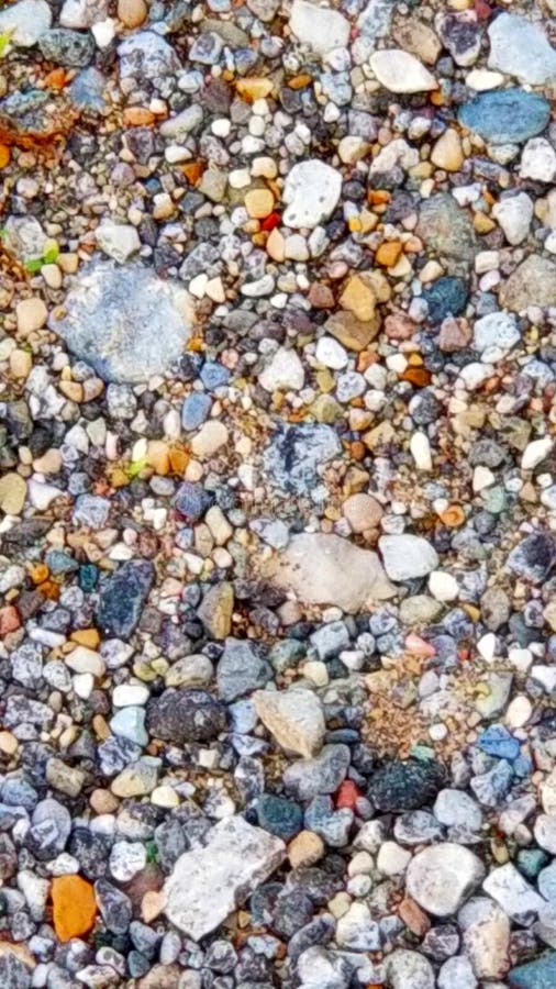 Variety of River Rocks Medium Small and Tiny Stock Image - Image of ...