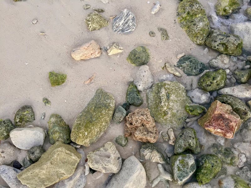 White Sand Beach with Shacks and Loungers Stock Image - Image of ...