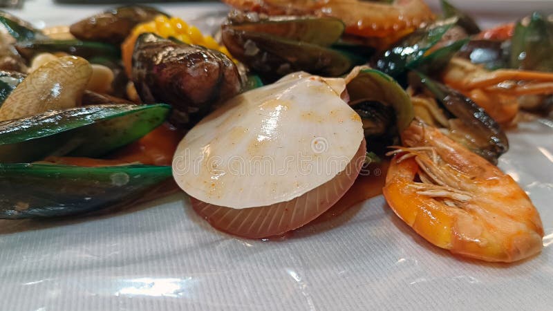 Variety Seafood Contains Shellfish Crab Shrimp Stock Photos - Free ...