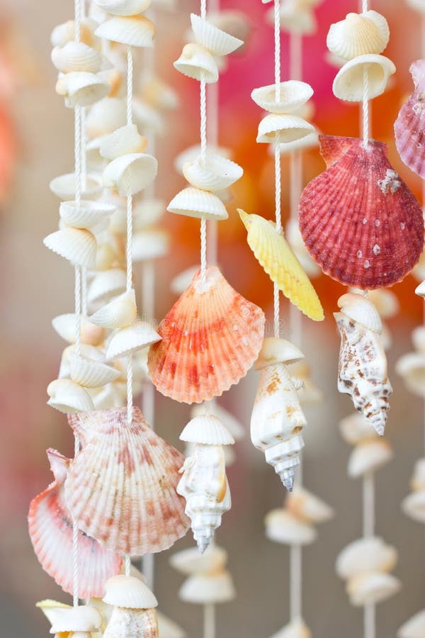 Variety shells mobile. stock photo. Image of circle, interior - 33637316