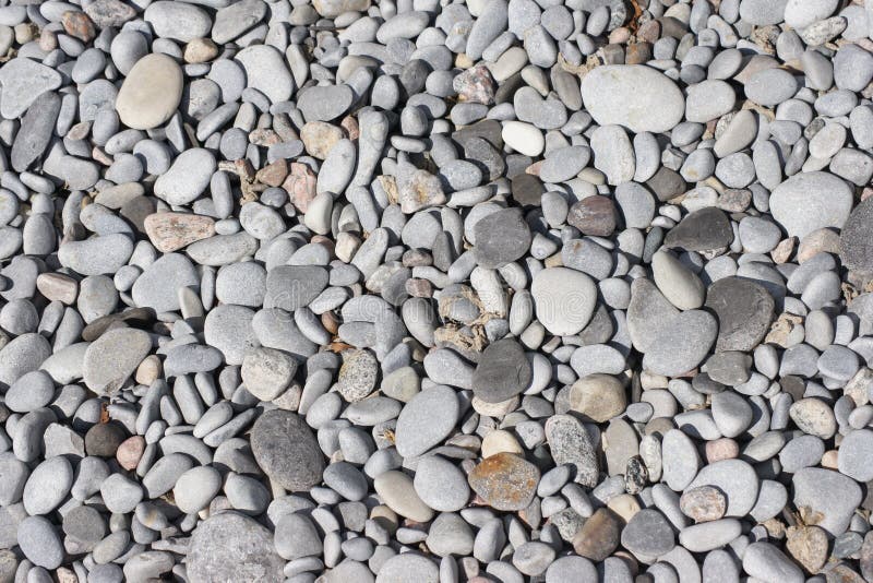 A Variety of Sizes of Stones on the Beach. Stock Photo - Image of beach ...