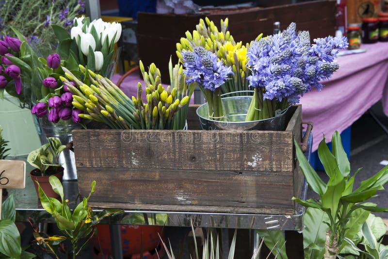 Variety of Spring Flowers in Pots Stock Image - Image of green ...