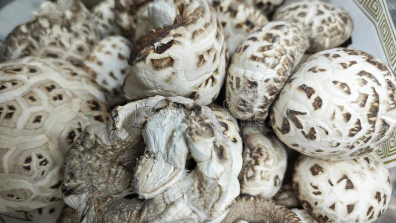 Variety Stack of the Dried Chinese Shiitake Mushrooms Stock Photo ...