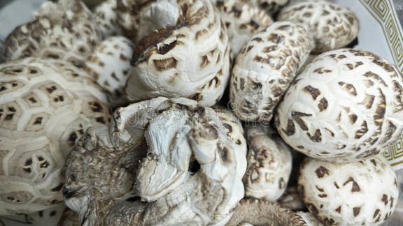 Variety Stack of the Dried Chinese Shiitake Mushrooms Stock Photo ...