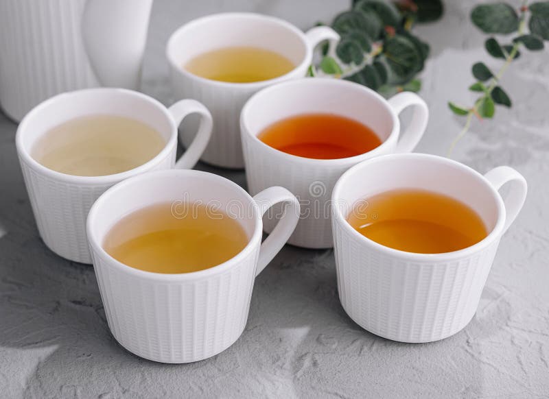 Variety of Teas in White Ceramic Cups Stock Photo - Image of herbal ...