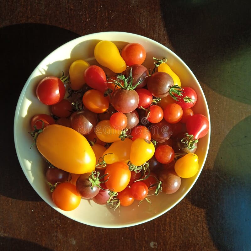 Variety of Tomatoes in Different Shapes Stock Photo - Image of tomatoes ...