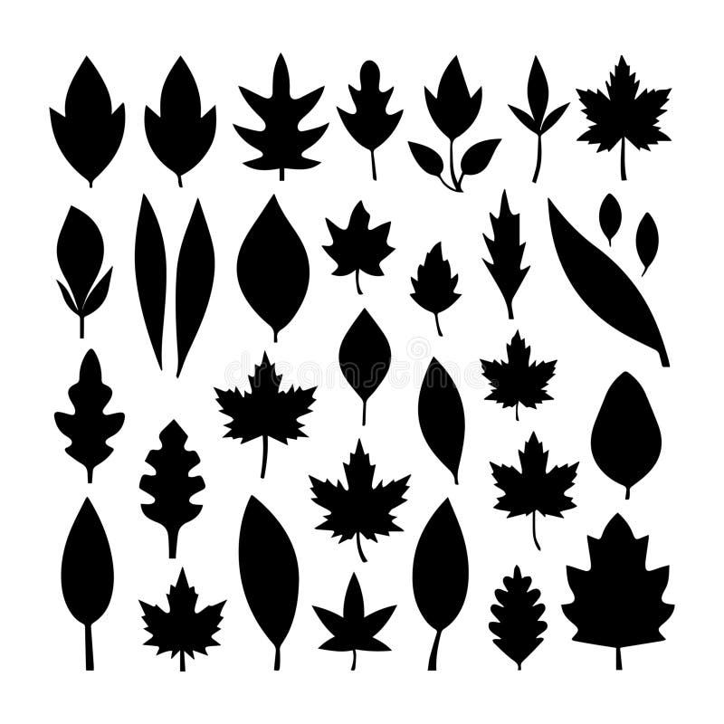 Variety of Tree Leaf Silhouettes Stock Illustration - Illustration of ...