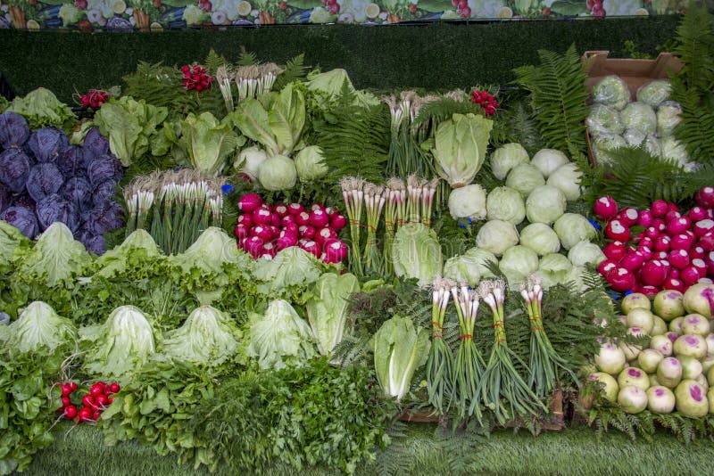 Vegetables and Groceries in Supermarket Stock Image - Image of industry ...