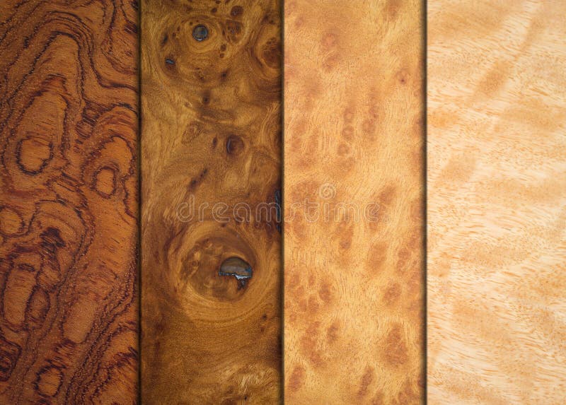 Variety wood textures stock photo. Image of backdrop - 47692996