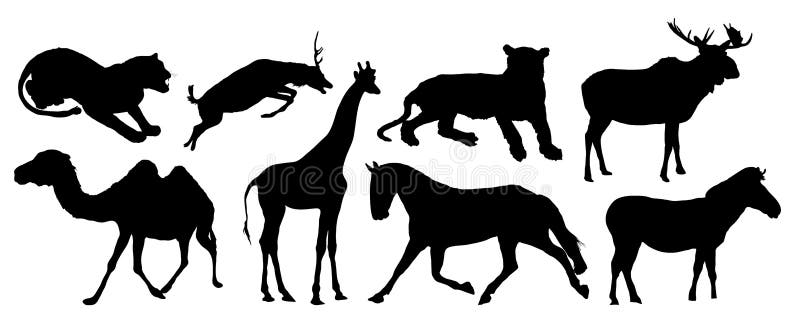 Diversos Animales Imagen. Imagen: 7750571