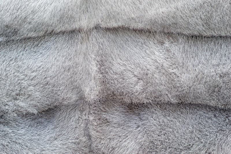 Various Abstract Fur Texture Stock Image - Image of background, painted ...