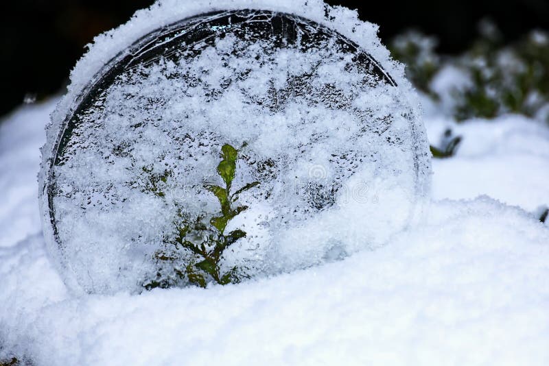 Various Abstract Patterns and Drawings Appearing on the Round Freezing ...
