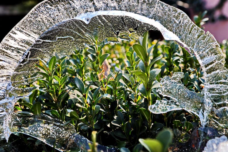 Various Abstract Patterns and Drawings Appearing on the Round Freezing ...