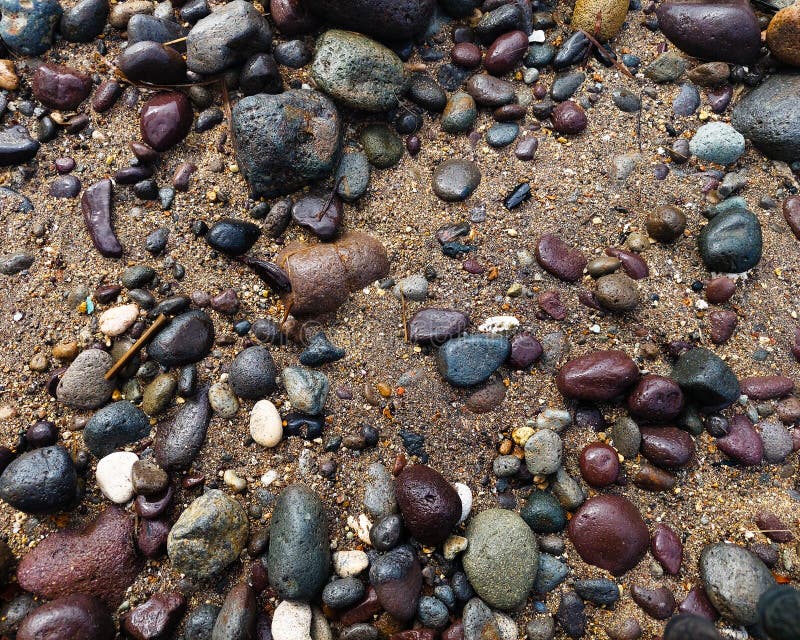 Various Beach Rocks and Wet Beach Sand Stock Photo - Image of sand ...