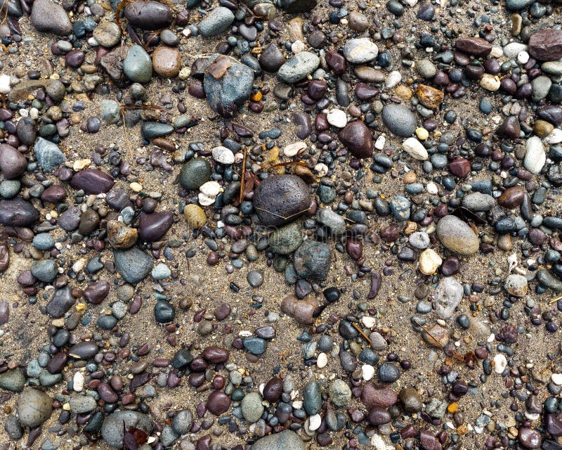 Various Beach Rocks and Wet Beach Sand Stock Image - Image of wildlife ...