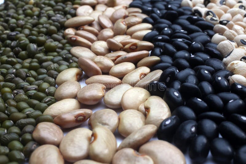Various beans close up stock photo. Image of grain, collection - 190582110