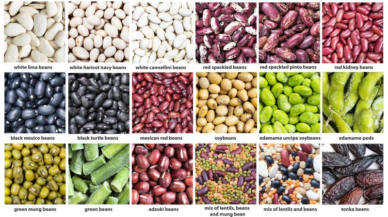 White Haricot Beans Soya Beans Red Speckled Beans Collage Stock Photos ...