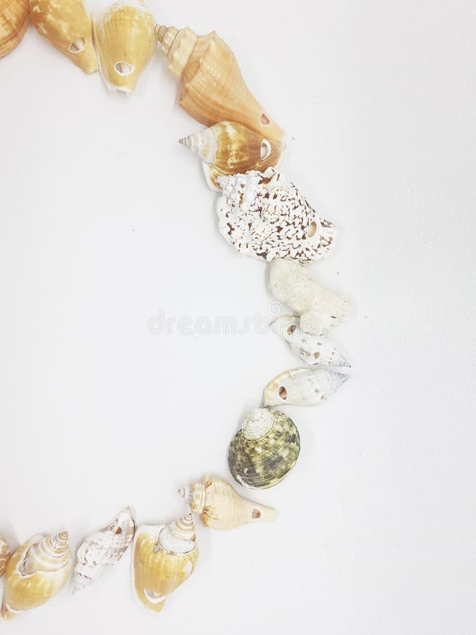 Various Beautiful and Colorful Beach Objects Small Unique Sea Shell in ...