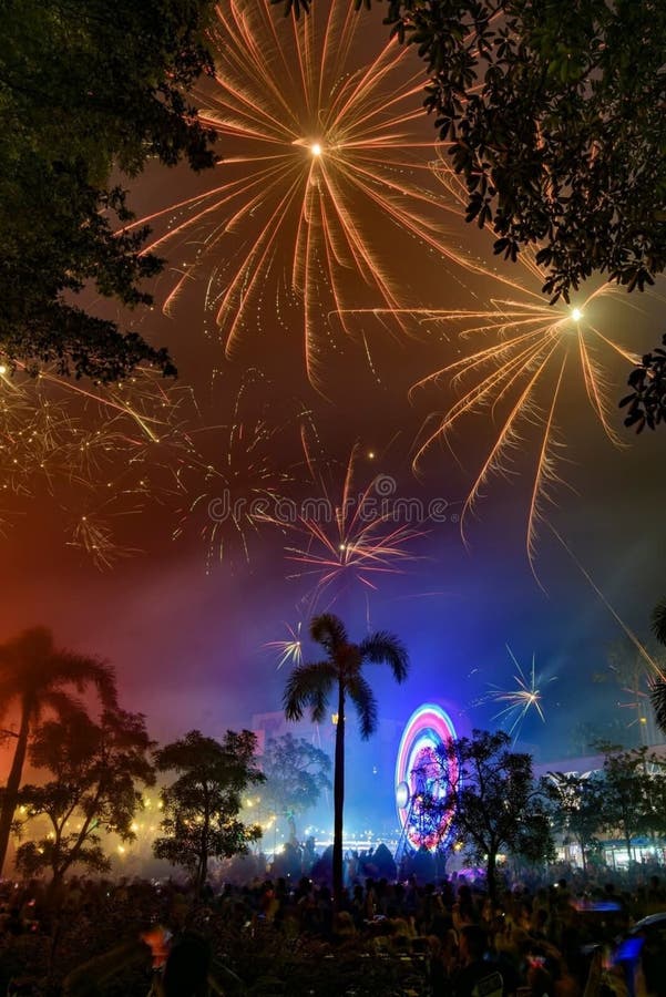 Various Beautiful Shapes when Fireworks Explode in the Sky Stock Image ...