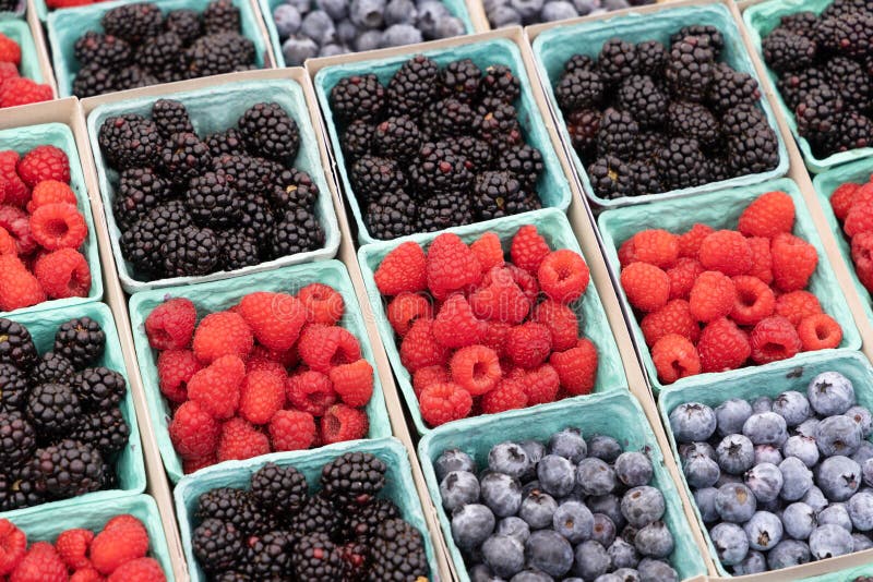 Various berries in boxes stock photo. Image of freshness - 285681482