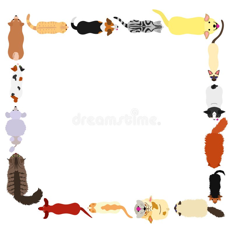 Frame of Various Dogs and Cats Postures Stock Vector - Illustration of ...