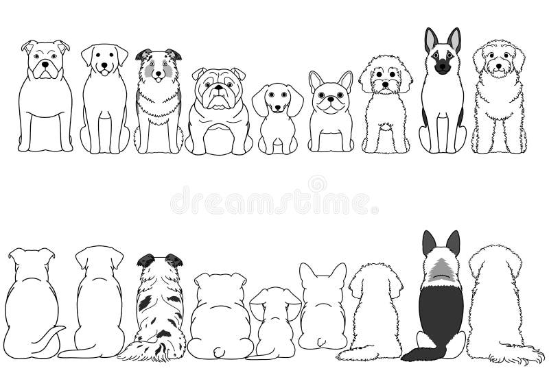 Line Art Dogs Sitting in a Row, Front and Back Stock Image ...