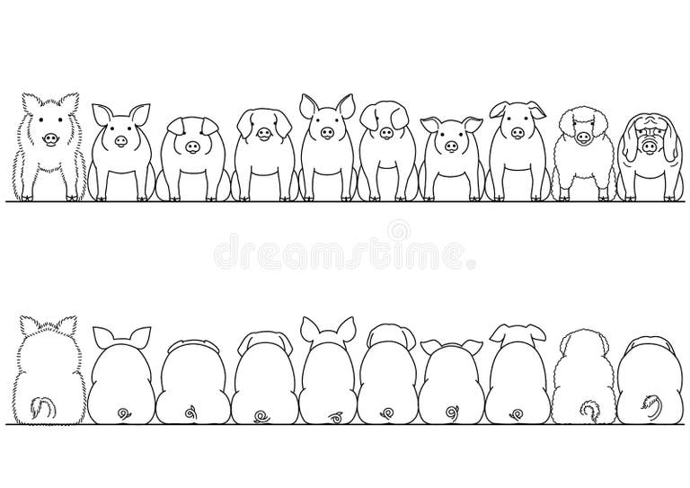 Pig Breeds Stock Illustrations – 272 Pig Breeds Stock Illustrations ...