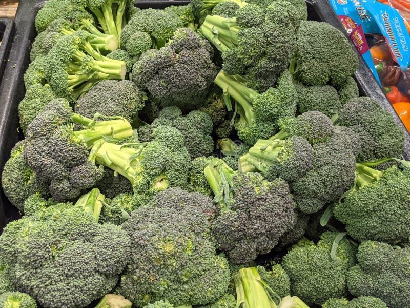Various Broccoli Available for Purchase Stock Photo - Image of green ...