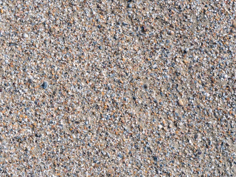 Broken Seashells stock image. Image of coastline, seashore - 40339453