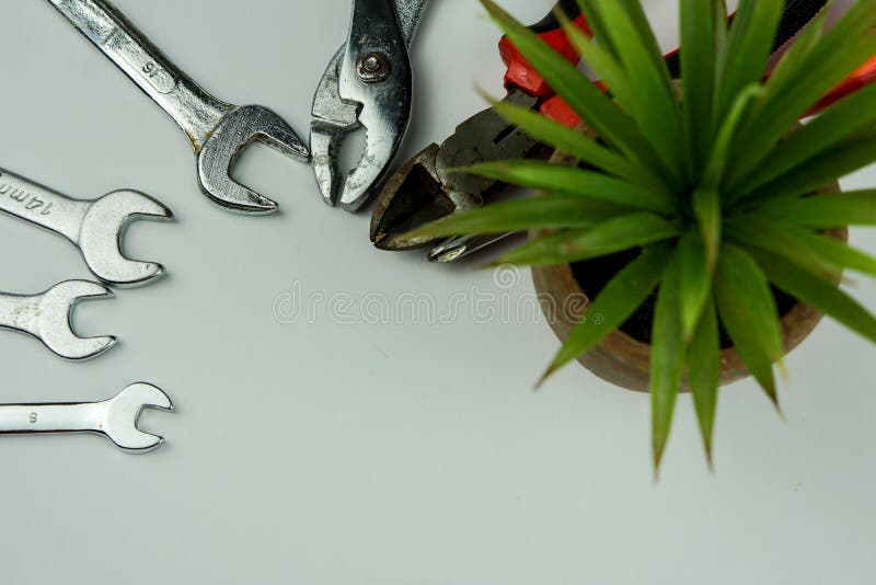 Various Carpentry, Repairing, DIY Tools on White Background Stock Image ...