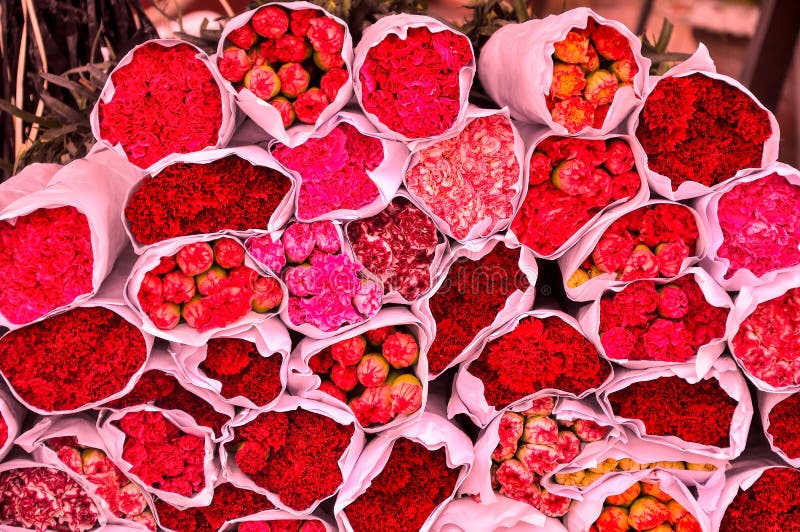 Various Caryophyllales Flower in Flower Shop Stock Photo - Image of ...