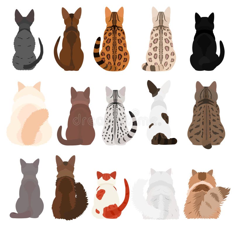 Various Cat Breeds from Behind Bundle Stock Image - Illustration of ...