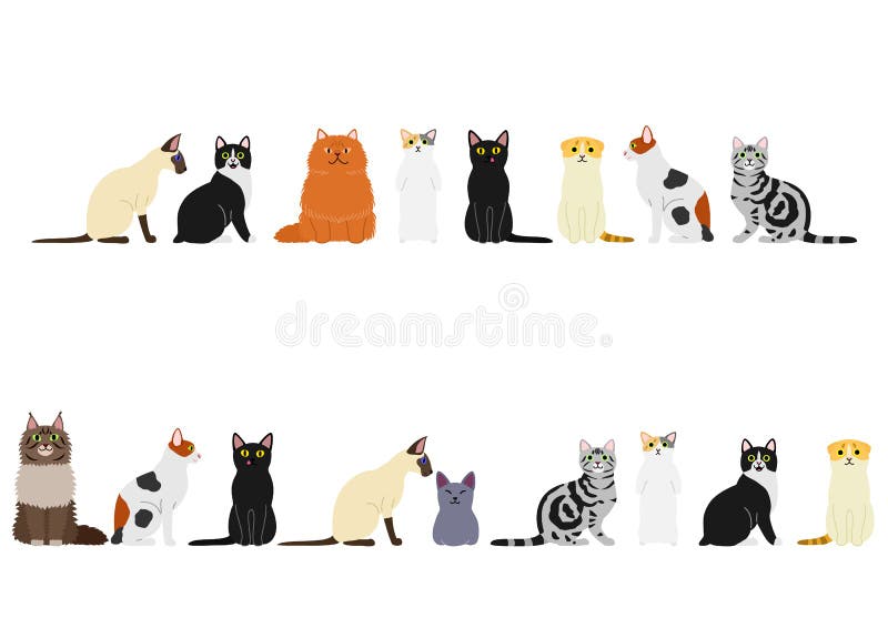 Various Cute Cats Border Set Stock Vector - Illustration of design ...