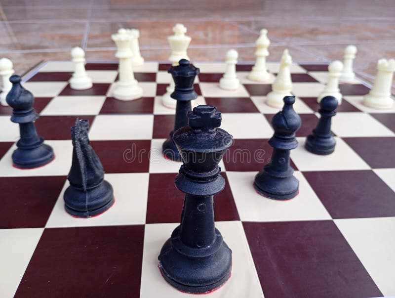 Various Chess Pieces, Including Kings, Queens, Bishops, and Knights ...