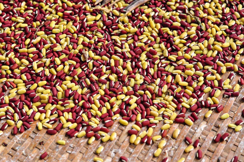 Various color seed stock image. Image of brown, ingredient - 39966419